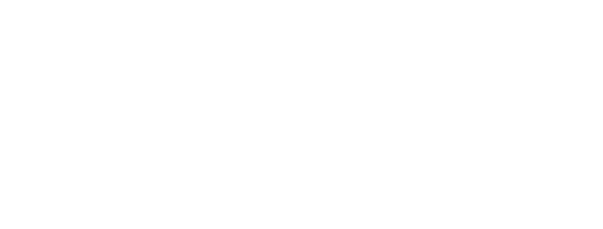 Schoolgids Insula HAVO-VWO